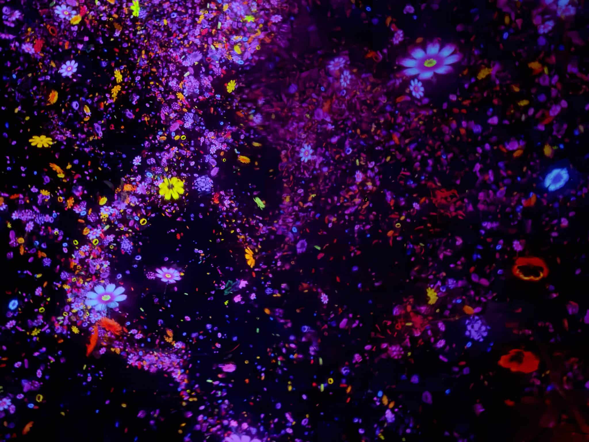 teamLab Planets Tokyo: 10 Essential Tips for First-Time Visitors