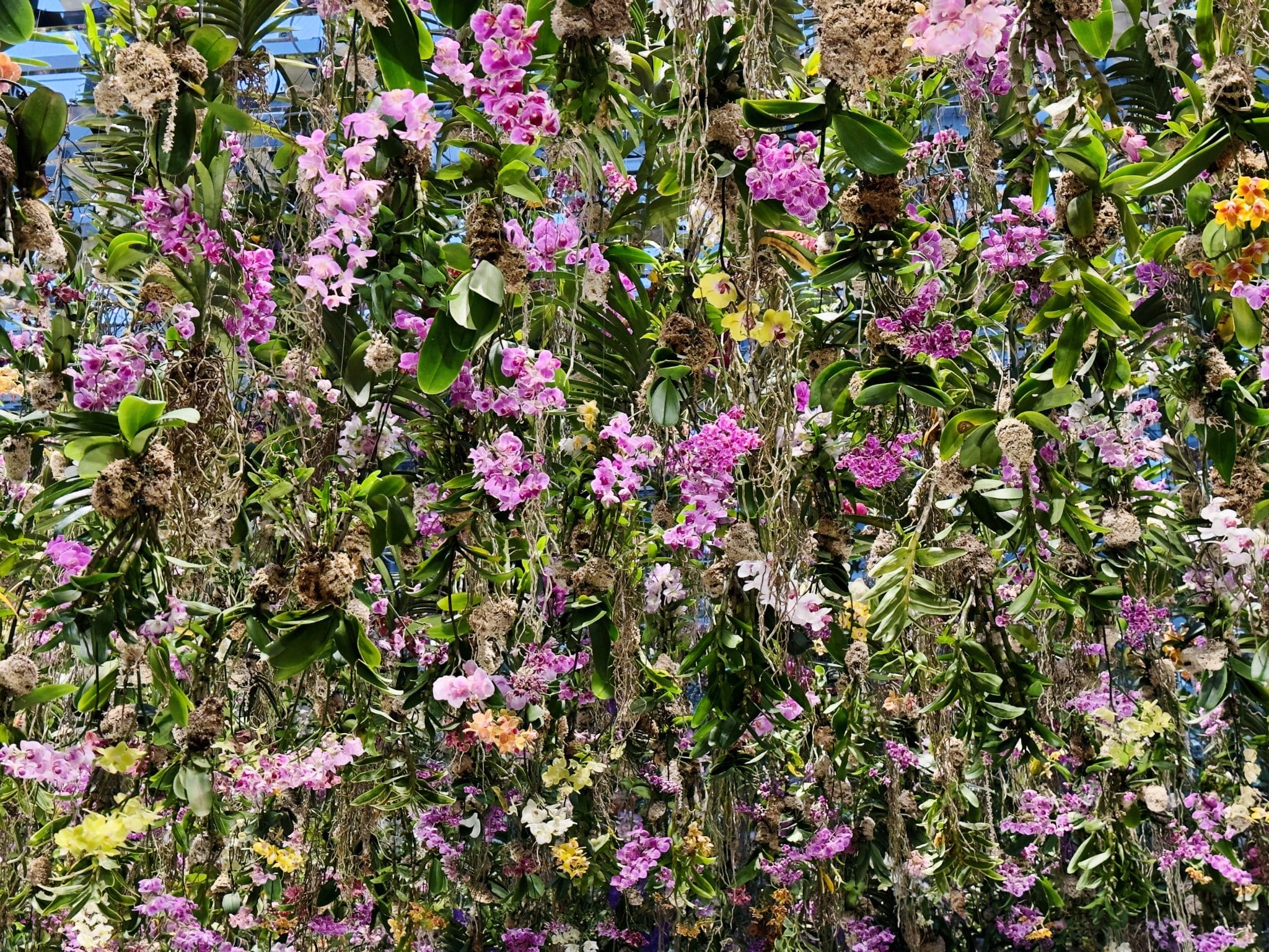 teamLab Planets Tokyo: 10 Essential Tips for First-Time Visitors