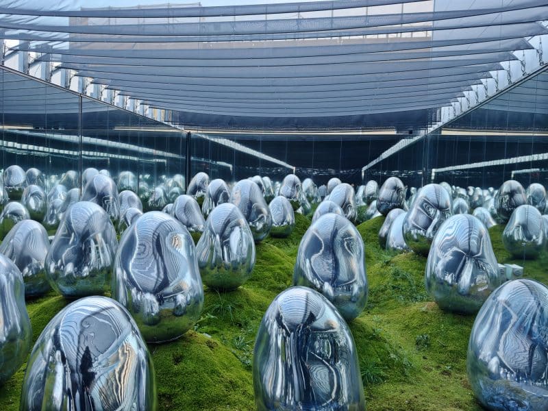 10 teamLab Planets Visit Tips You Need to Know Of