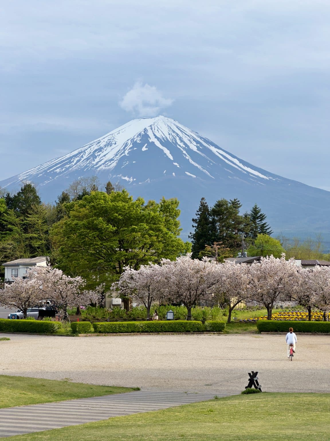 11 Incredible Places to Visit in Japan in 2026