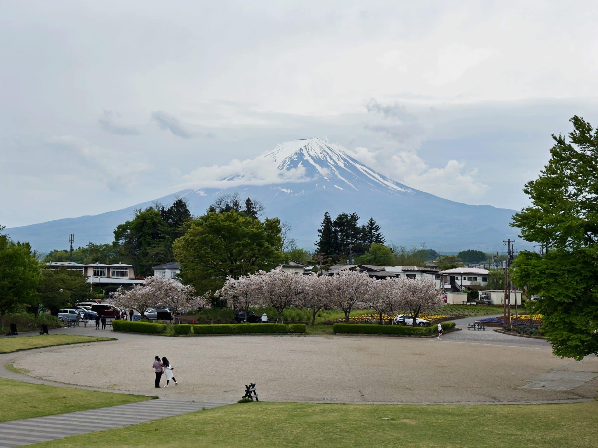 23 Essential Tips Things To Know Before Visiting Japan