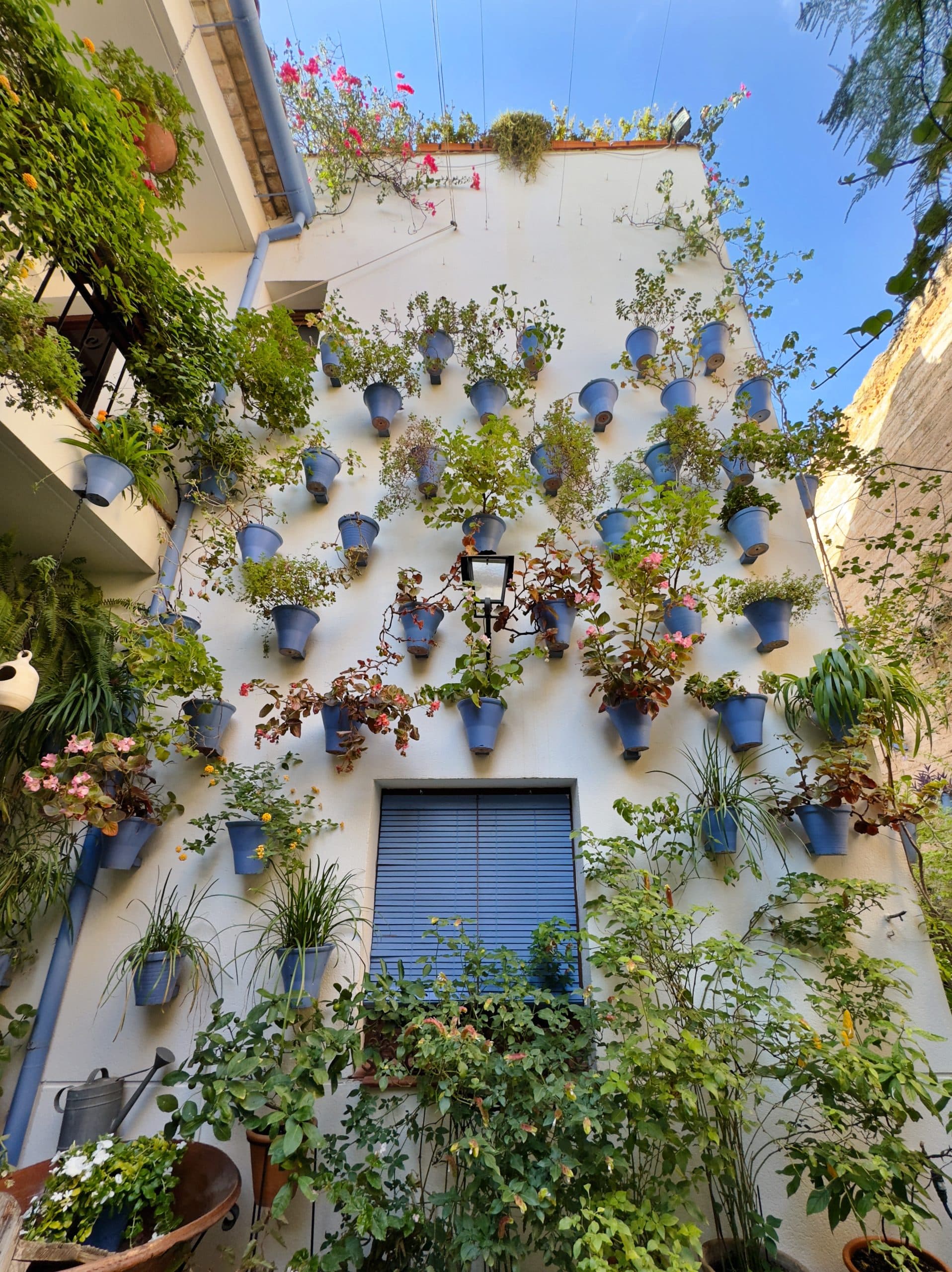 The Ultimate Guide to the Best Patios of Cordoba