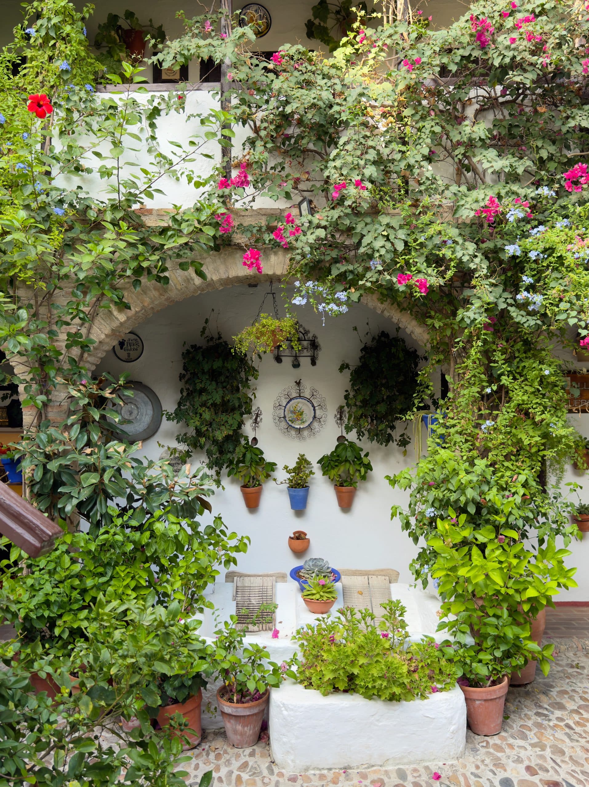 The Ultimate Guide to the Best Patios of Cordoba